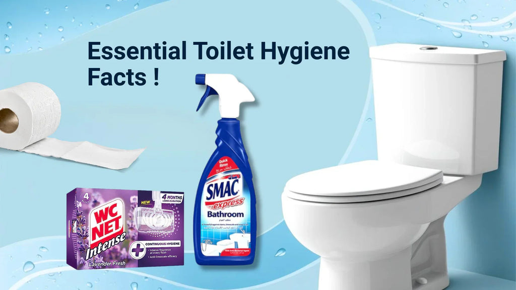 Essential Toilet Hygiene Facts